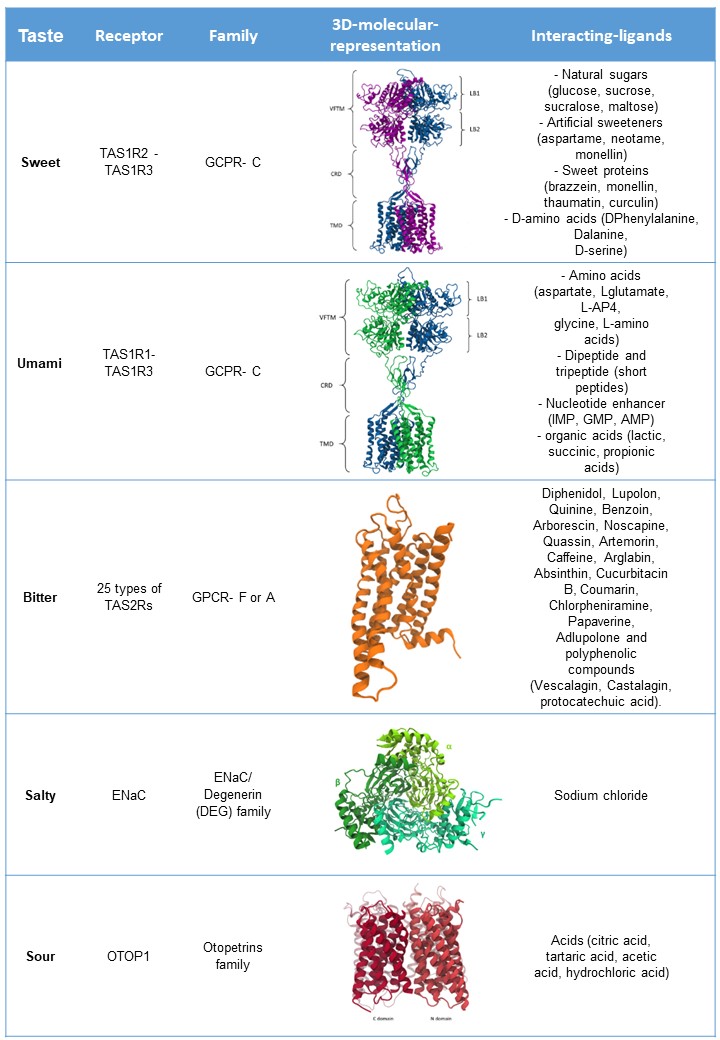 Understanding Taste by Studying the Protein-Protein Interactions of ...